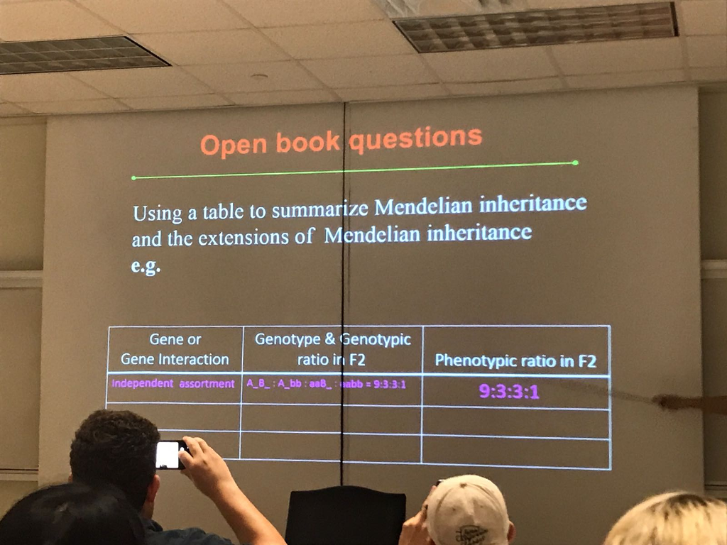 Solved Using A Table To Summarize Mendelian Inheritance And 3876