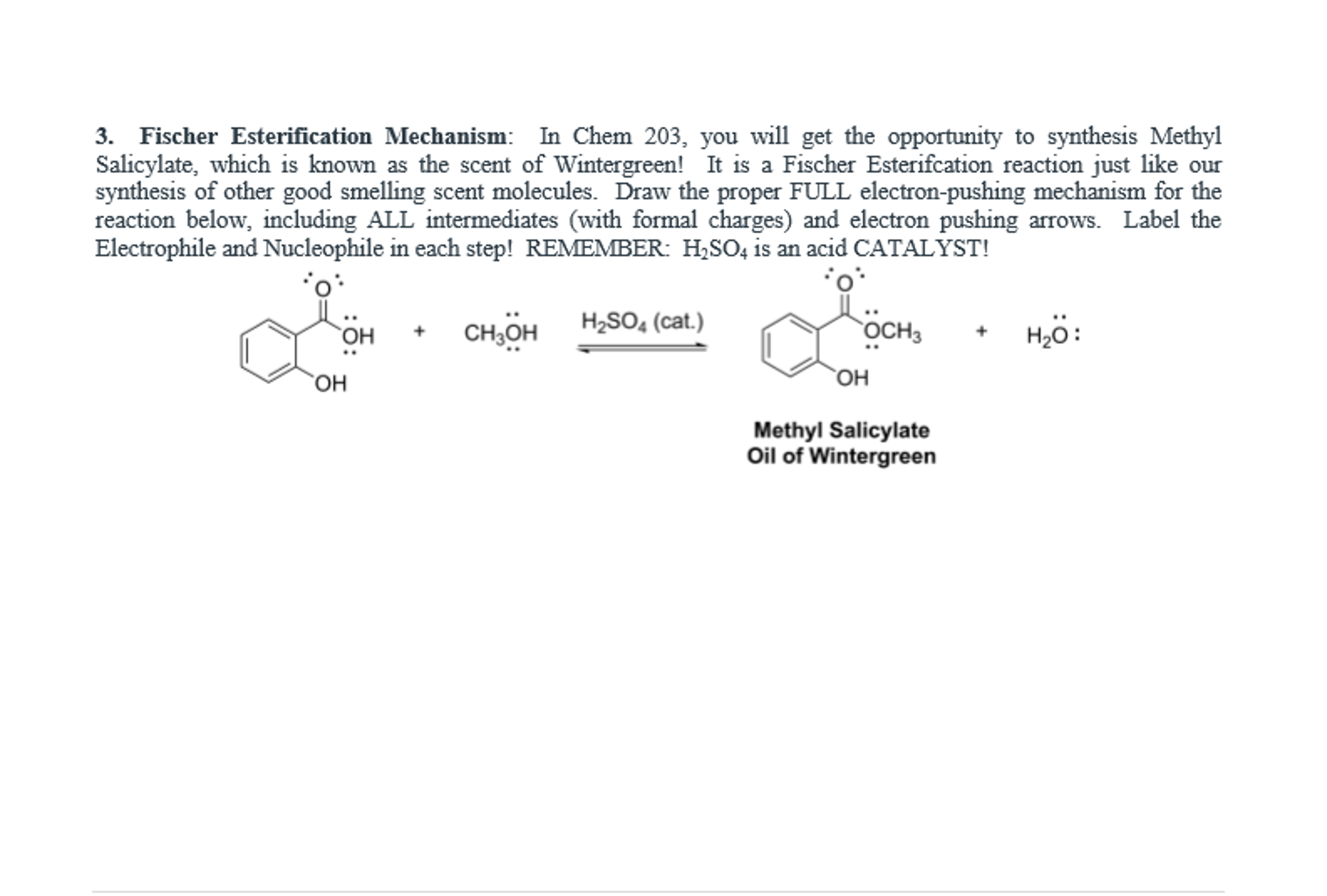 Solved Fischer Esterification Mechanism: In Chem 203, you | Chegg.com