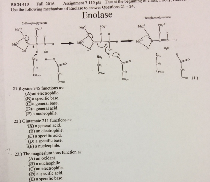 Solved Use the following mechanism of Enolase to answer | Chegg.com