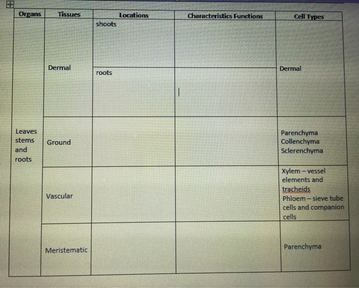 Solved Bio 132: Unit 2: Plant anatomy and physiology Please | Chegg.com