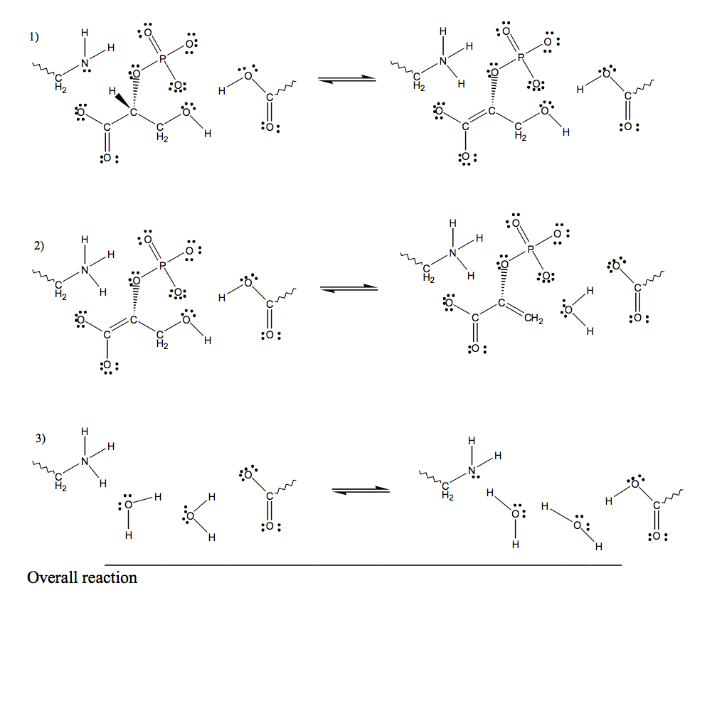 Solved 1. Determine the anticipated location in pyruvate of | Chegg.com