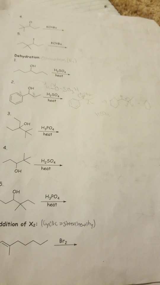 Solved KotBu Dehydration OH H2SO4 heat OH H2SO4 heat OH | Chegg.com