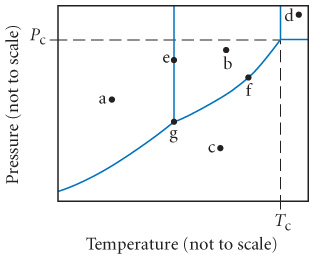 Solved Identify the phase present at points a. Identify the | Chegg.com