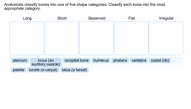 Solved Anatomists classify bones into one of five shape | Chegg.com