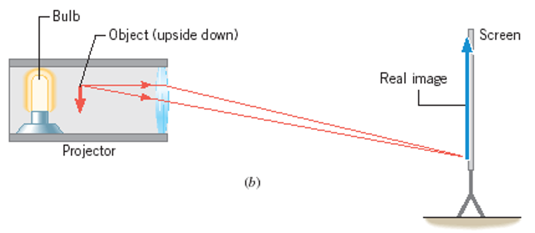 Solved When a converging lens is used in a camera (as in the | Chegg.com