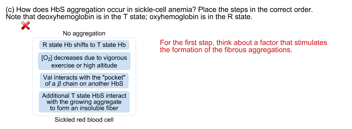 Solved How does HbS aggregation occur in sickle-cell anemia? | Chegg.com