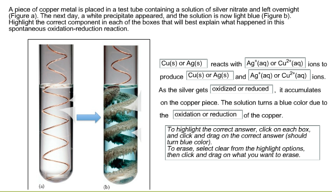 Solved A piece of copper metal is placed in a test tube | Chegg.com