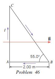 The triangular coil of wire in the drawing is free to | Chegg.com