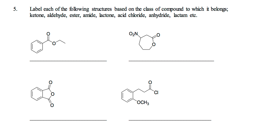 Solved Label each of the following structures based on the | Chegg.com