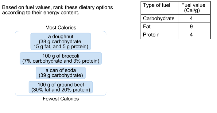Solved Based on fuel values, rank these dietary options | Chegg.com