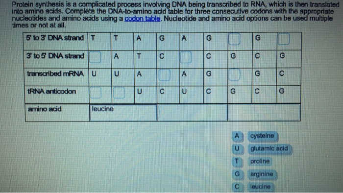 Solved Protein synthesis is a complicated process involving | Chegg.com