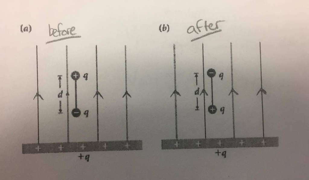 Solved A Dipole Consisting Of An Electron And A Proton