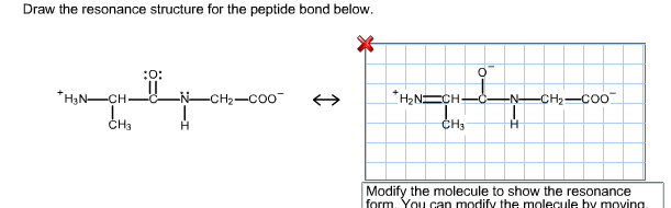 Solved Draw the resonance structure for the peptide bond | Chegg.com