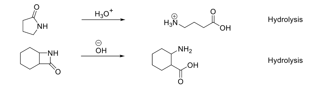 Solved NH Hao OH H3N OH NH OH Hydrolysis Hydrolysis | Chegg.com