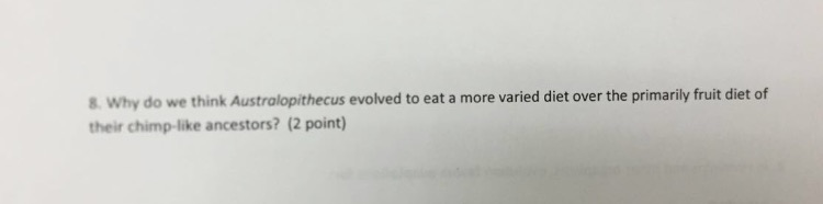 Why do we think Australopithecus evolved to eat a | Chegg.com