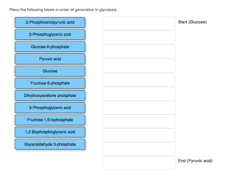 Solved Place the following labels in order of generation in | Chegg.com