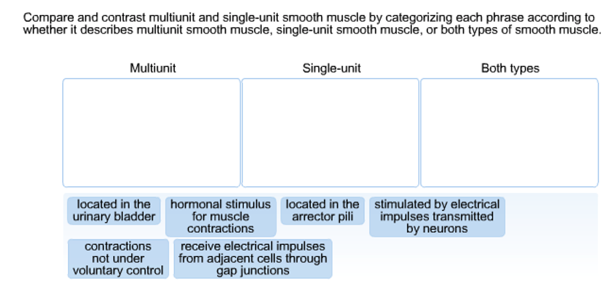 Solved Compare and contrast multiunit and single-unit smooth | Chegg.com