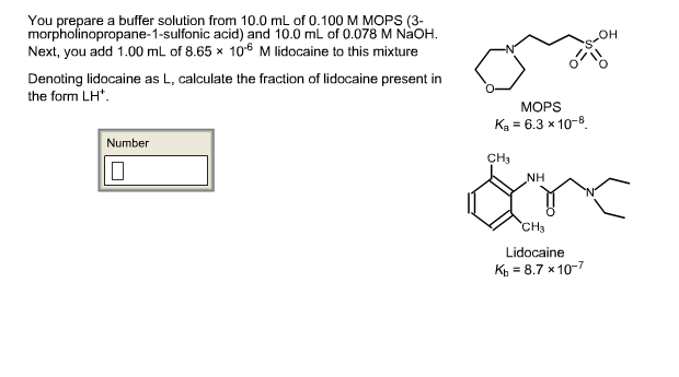 Solved You prepare a buffer solution from 10.0 mL of 0.100 M | Chegg.com