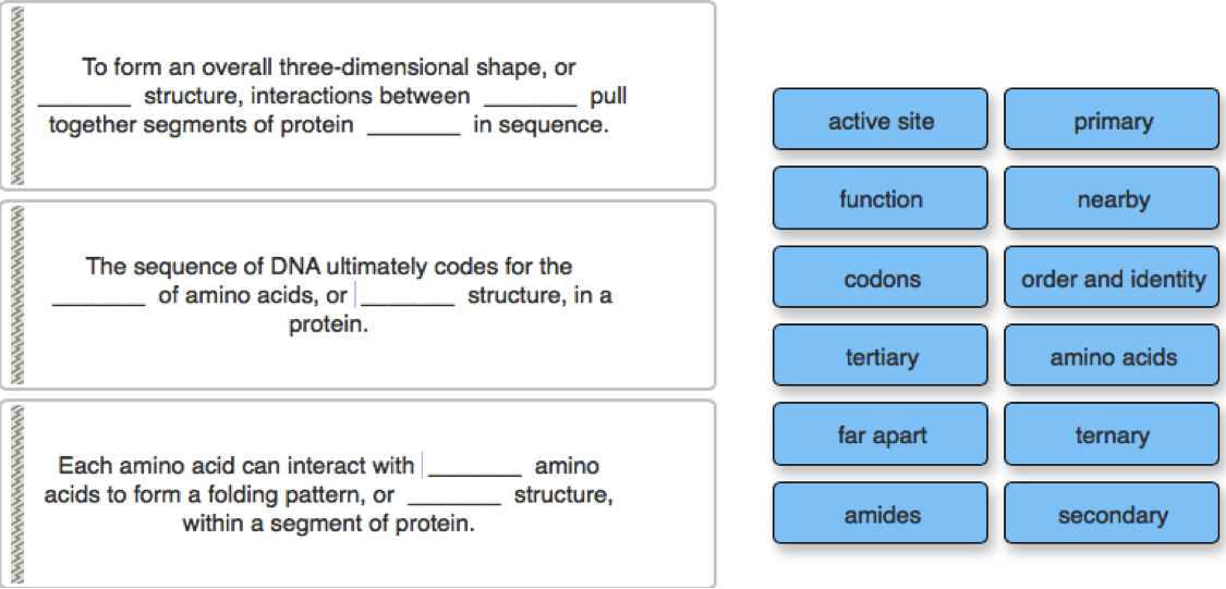 Solved Proteins are polymer strands that form a | Chegg.com