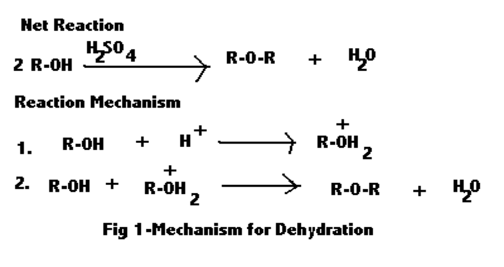 Solved Please explain how the product in the first step of | Chegg.com