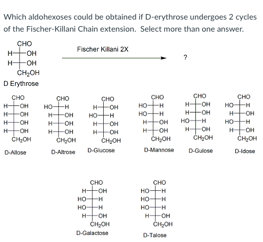 Solved Which aldohexoses could be obtained if D-erythrose | Chegg.com