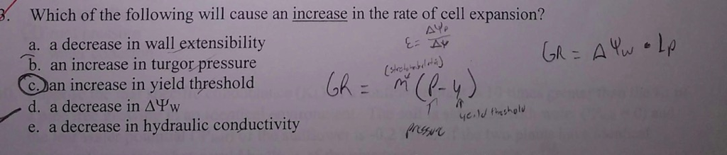Solved . Which of the following will cause an increase in | Chegg.com