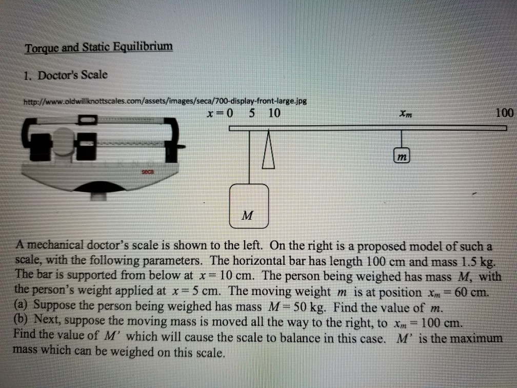 Solved Torque and Static Equilibrium 1. Doctor's Scale | Chegg.com