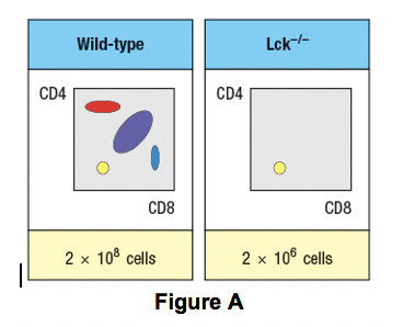 Question 3 (7 points): To investigate how T-cell | Chegg.com