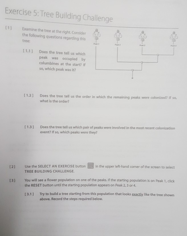 Solved Exercise 5: Tree Building Challenge (1 Examine the | Chegg.com