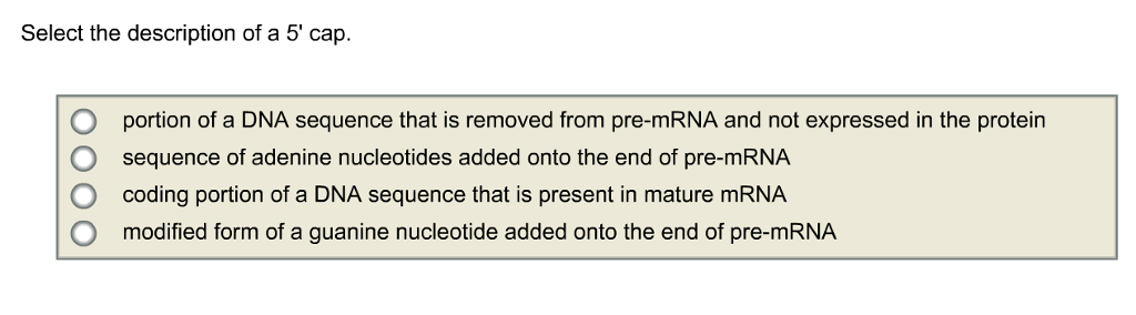 Solved Select the description of a' cap O portion of a DNA | Chegg.com