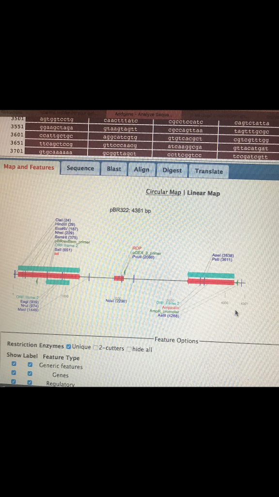 Solved Website | Chegg.com