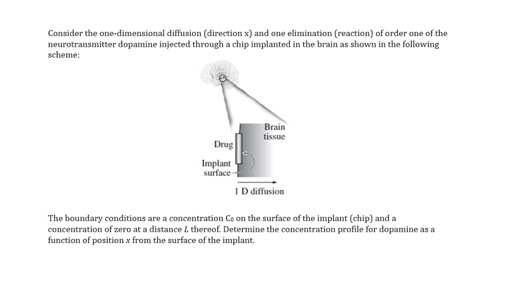 Consider the one-dimensional diffusion (direction x) | Chegg.com