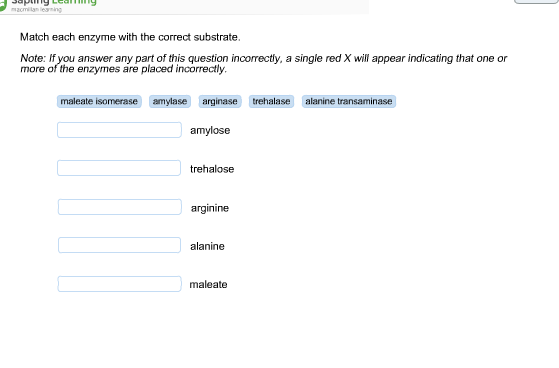 Solved Match each enzyme with the correct substrate. | Chegg.com