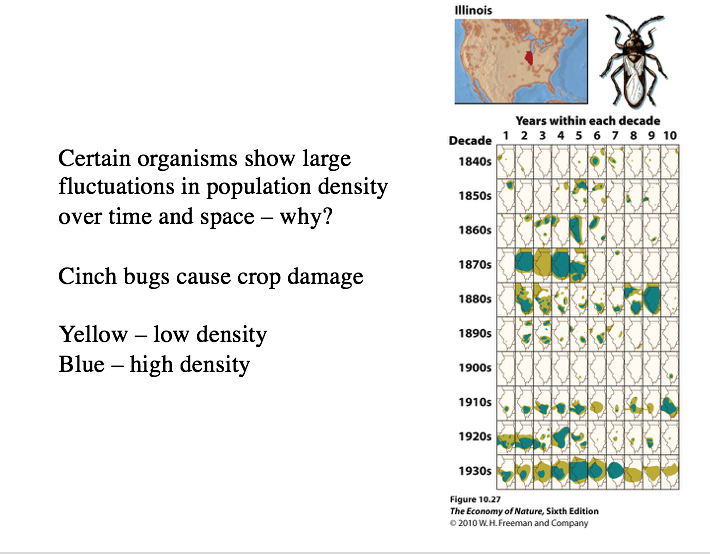 Solved For the cinch bug example at the end of lecture, plot | Chegg.com