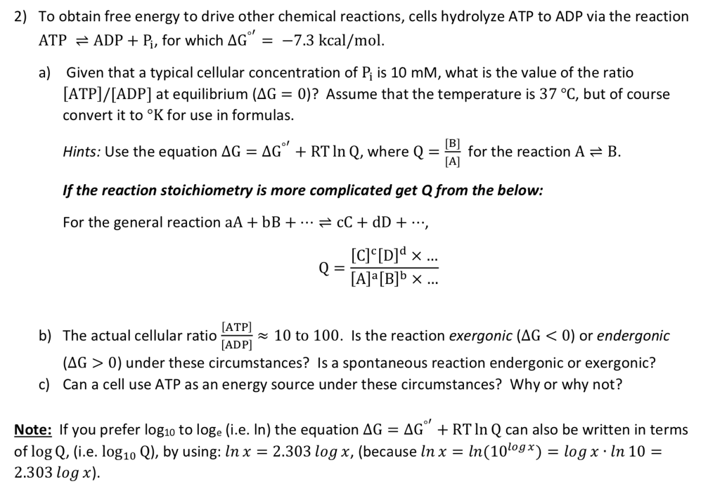 Atp To Adp Equation