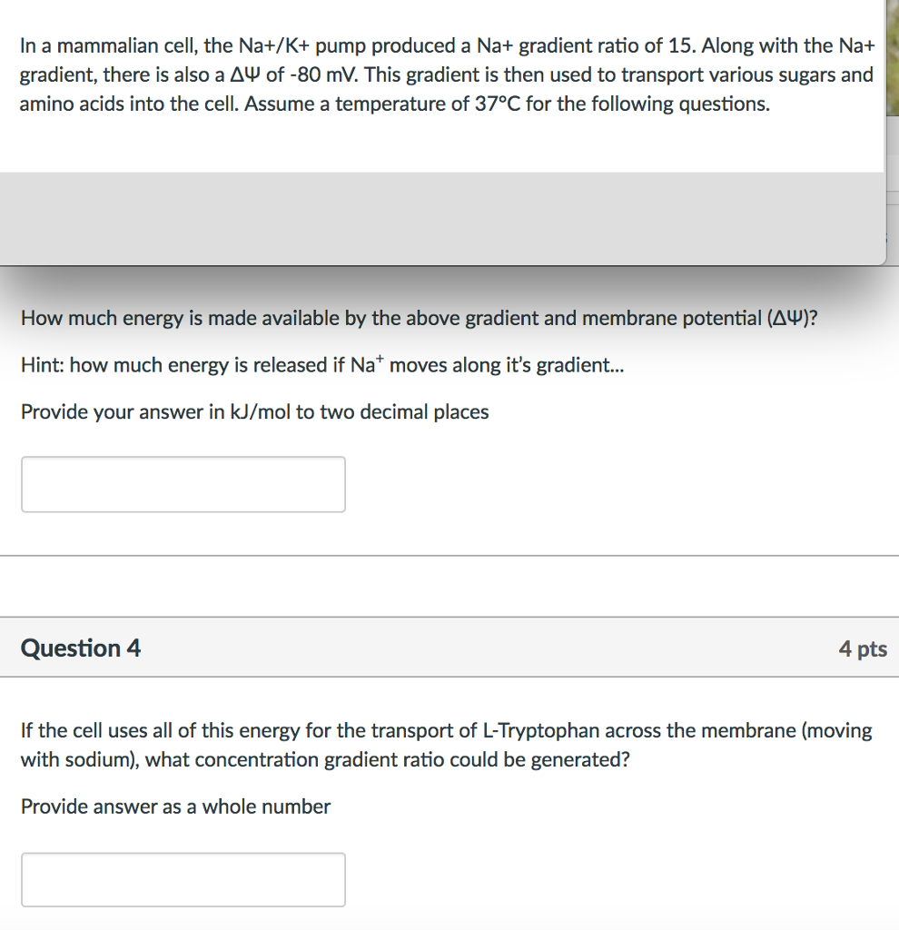 Solved In a mammalian cell, the Na+/K+ pump produced a Na+ | Chegg.com