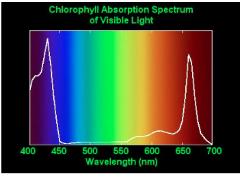 Given in the picture is the absorption spectrum of | Chegg.com