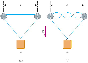 Solved A 14 kg object hangs in equilibrium from a string of | Chegg.com
