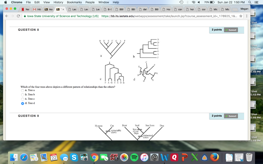 Solved ?By reference to the tree above, which of the | Chegg.com
