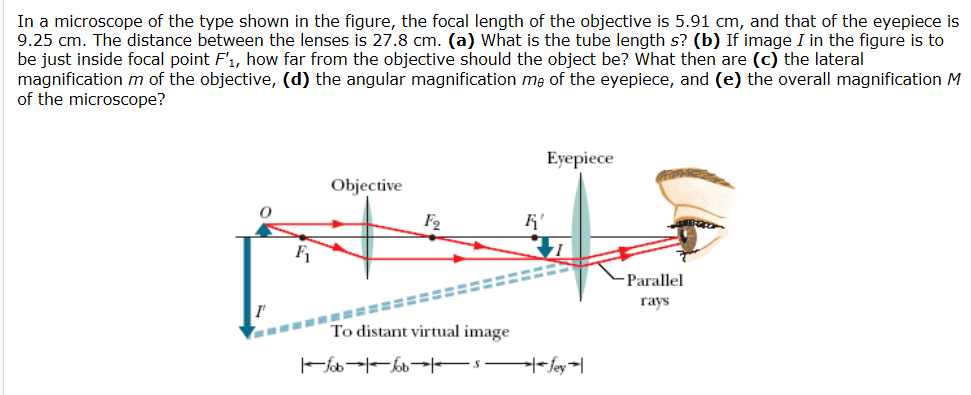 Solved In a microscope of the type shown in the figure, the | Chegg.com