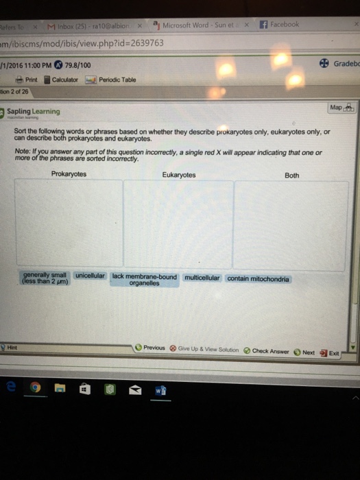 Solved Sort the following words or phrases based on whether | Chegg.com