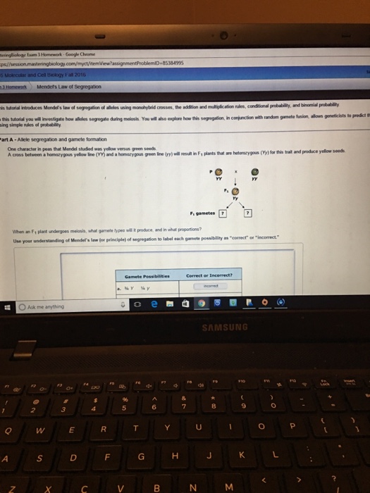 Solved Exam 3 Homework- Google Cheome and binomial sing | Chegg.com Solved Exam 3 Homework- Google Cheome and binomial sing | Chegg.com