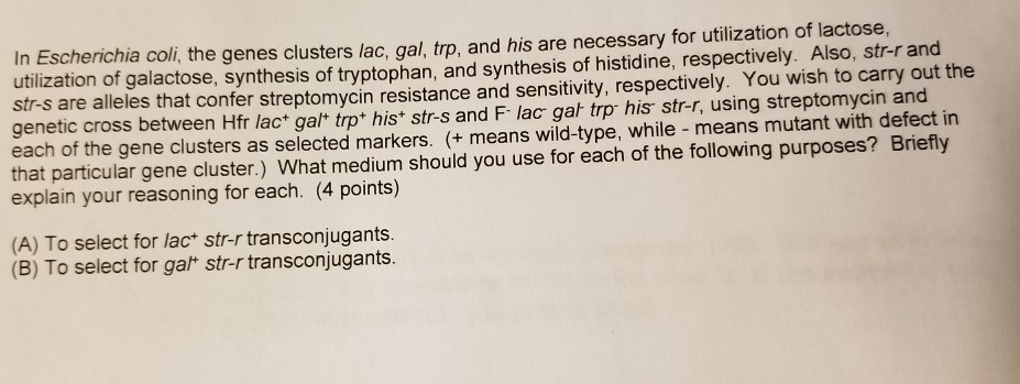 Solved In Escherichia coli, the genes clusters lac, gal, | Chegg.com