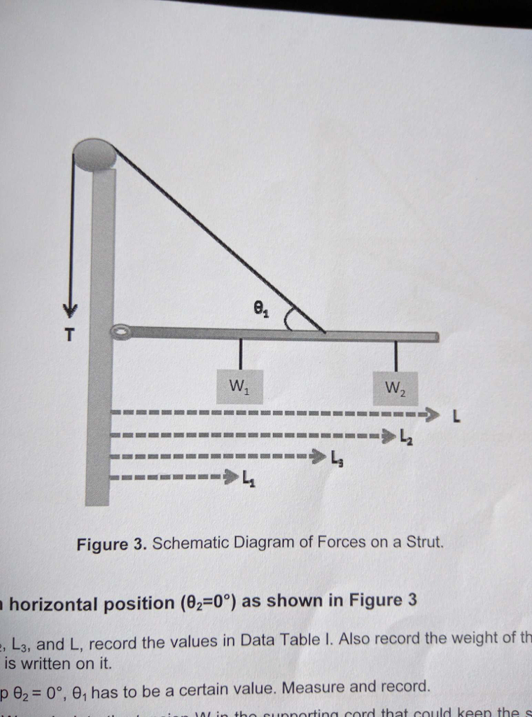 Solved Free body diagrams and tension calculations I have | Chegg.com