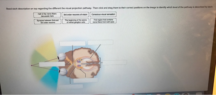 Solved Read each description on top regarding the different | Chegg.com