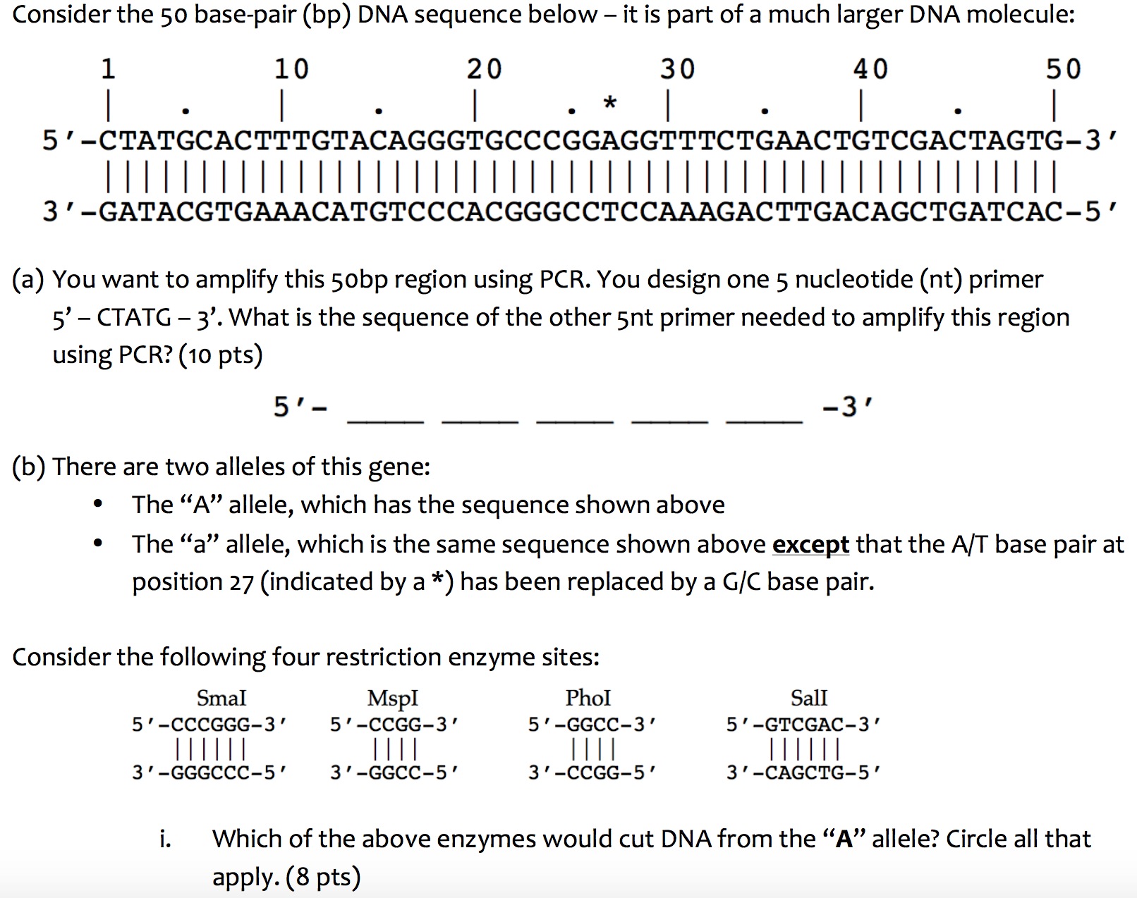 Solved Consider the 50 base-pair (bp) DNA sequence below - | Chegg.com