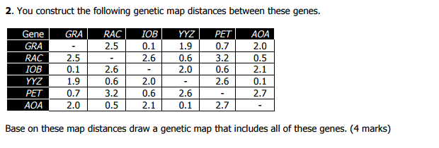 Solved You construct the following genetic map distances | Chegg.com
