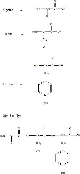 Solved Draw the complete structure of Gly-Ser-Tyr. Draw the | Chegg.com