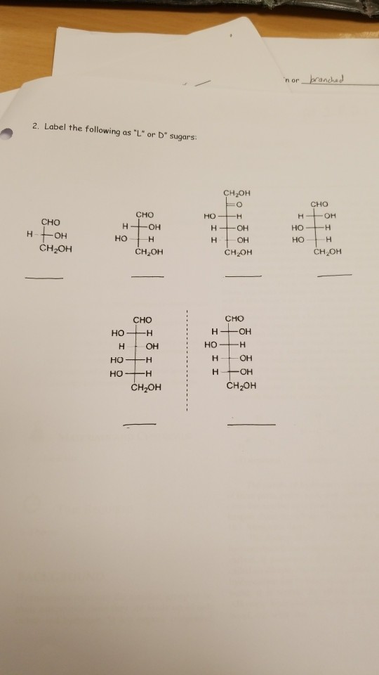 Solved n or branchs 2. Label the following as "L" or D | Chegg.com