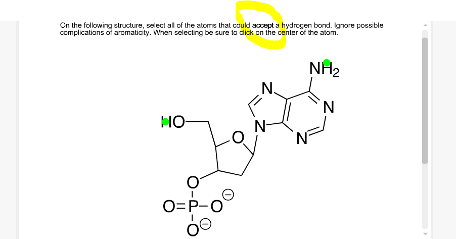 Solved On the following structure, select all of the atoms | Chegg.com